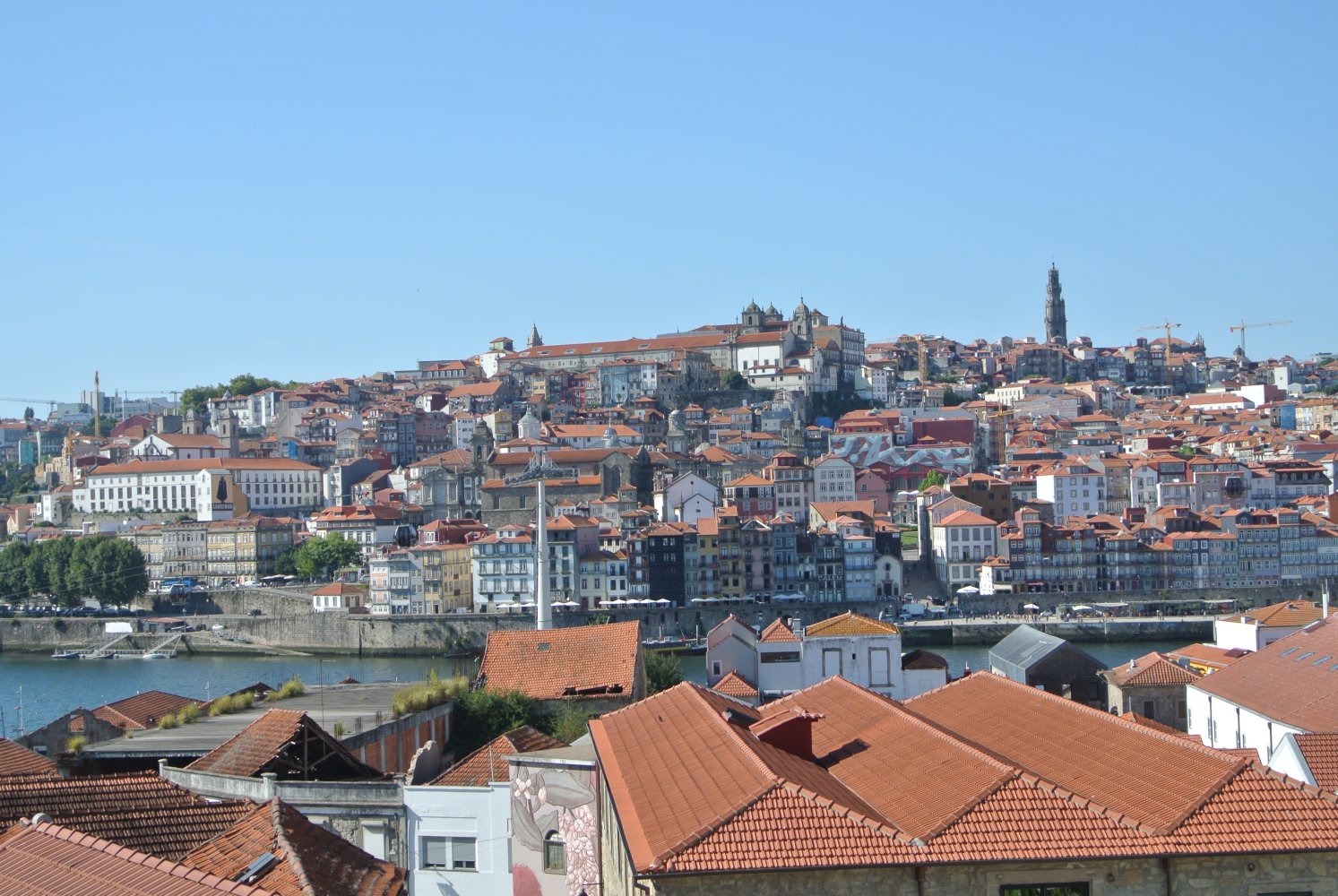 WOW - World of Wine: Eine Kombination aus Tradition und Moderne