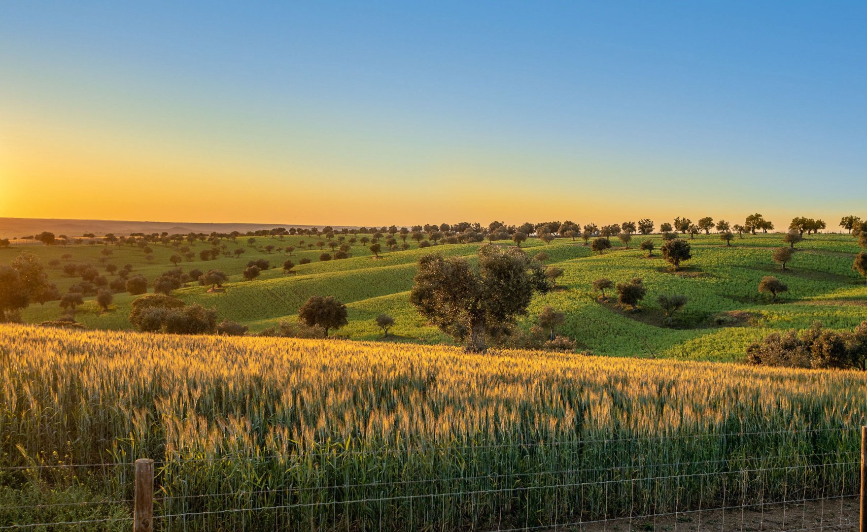 Aktivurlaub im Alentejo: Die schönsten Touren, Ausflüge & Hotels